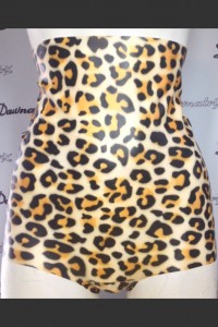 Leopard High Waisted Panty Girdle – Dawnamatrix